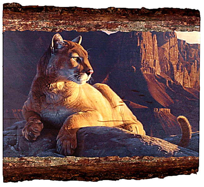 Rustic Wildlife Wall Art - National Artcraft